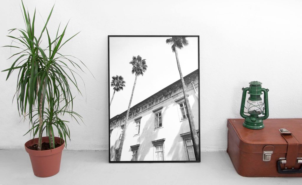 Les photographies de David & David Studio - Jessica Venancio